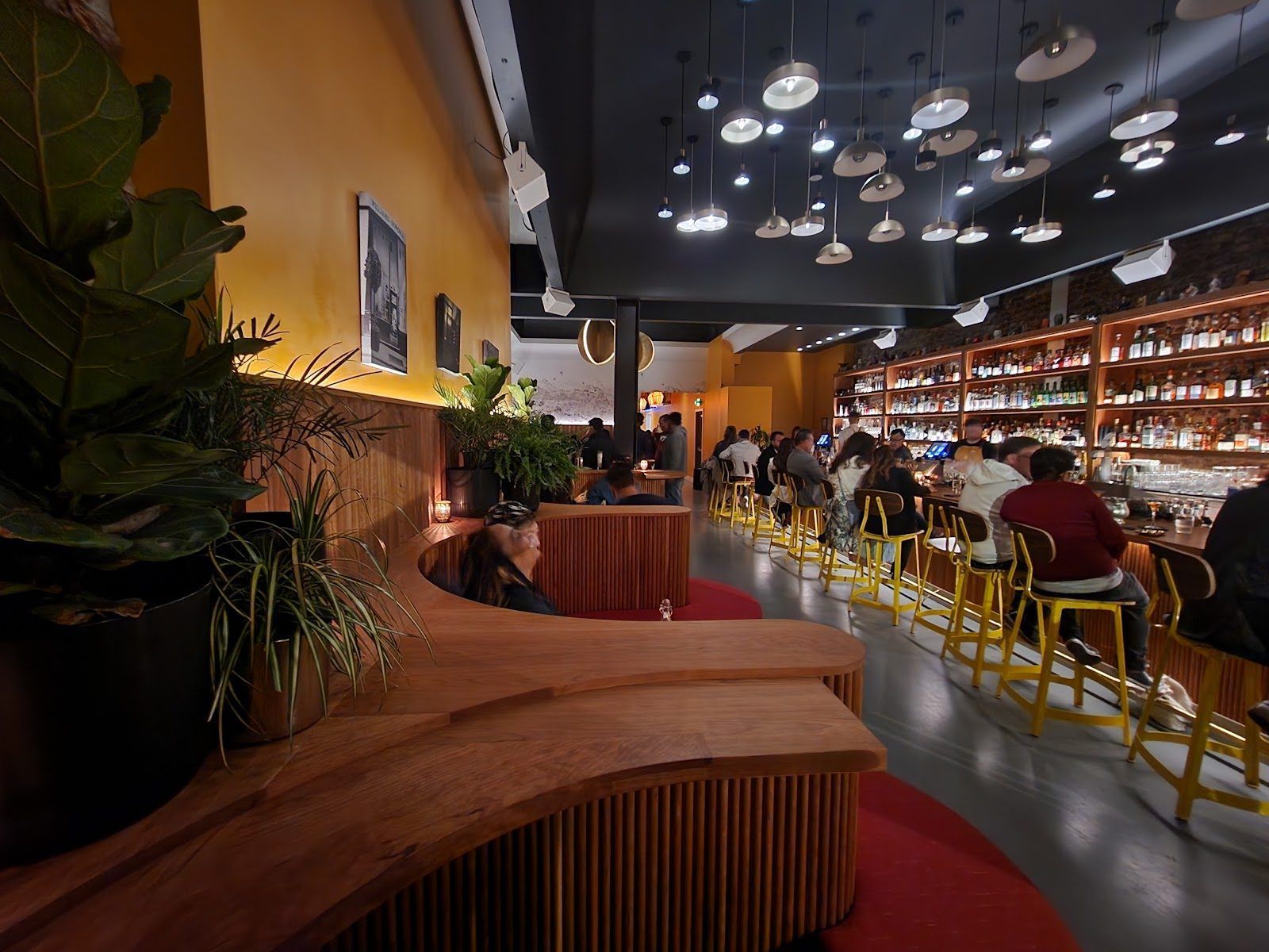 Pacific Cocktail Haven San Francisco — Bar Review | bfk